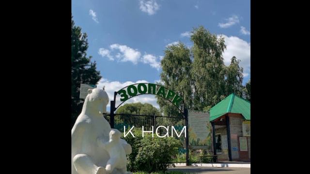 скоро будет зоопарк
