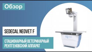 Обзор на ветеринарный цифровой рентгеновский аппарат Sedecal Neovet F