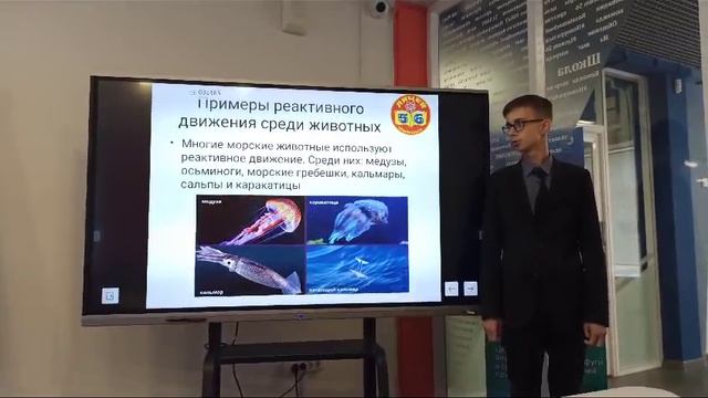 обучающая презентация для урока биологии_Апельсин