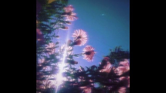 Sunbyonic - Bouquet of paper flowers