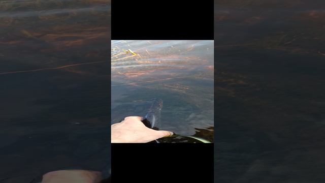 Щука (pike). Мелочь отпускаем подрастать.
