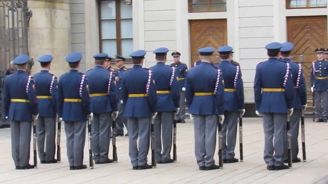 8ноябряутро 224