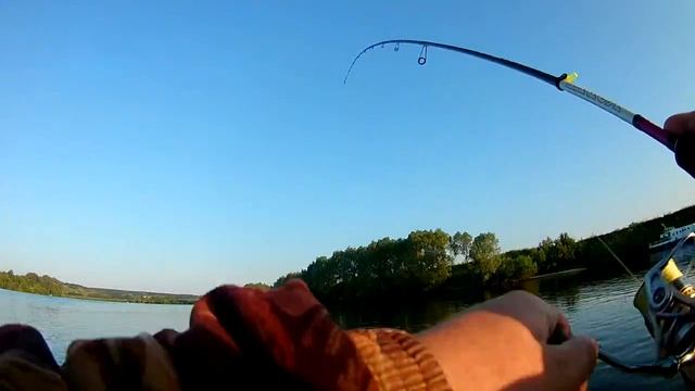 Поклевка окуня, река ока, отводной поводок