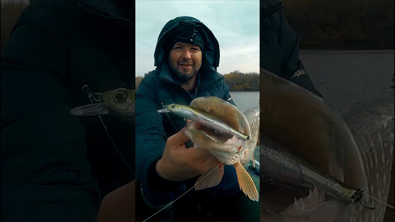 Шок от этой приманки! Щука в бешенстве!  #shorts #рыбалка #воблер