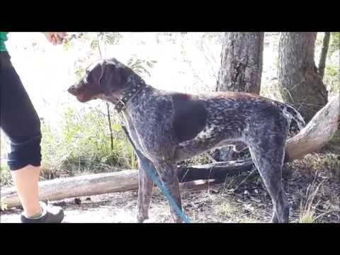 Путешествие в Карелию #3