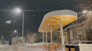 Новогодняя Бутурлиновка 2024