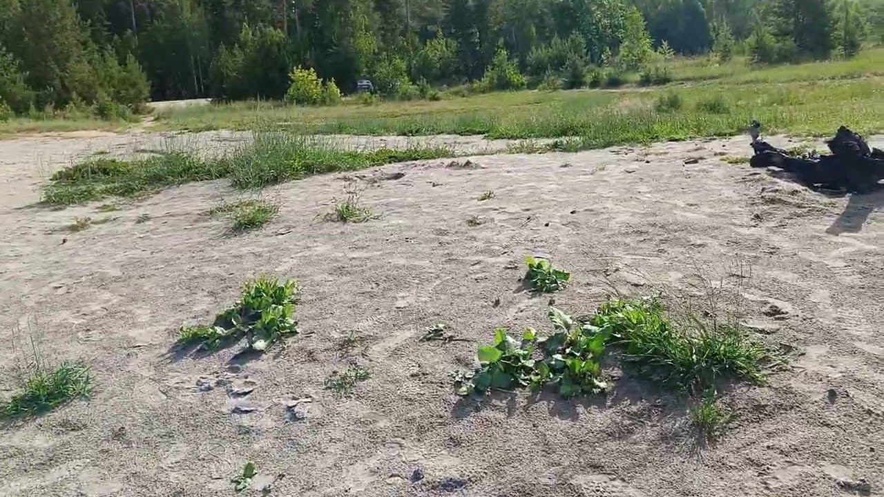 Две недели до поездки на море