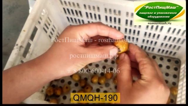 Машина удаления косточек сливы и личи от РостПищМаш