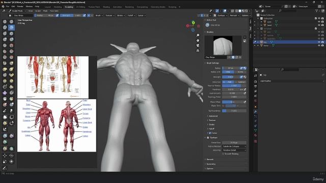 19. Sculpting the Legs and Errors to Watch Out For