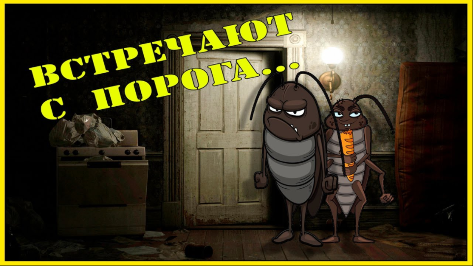 Встречают с порога....