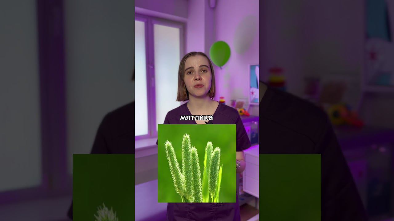 Аллергия на тополиный пух!?