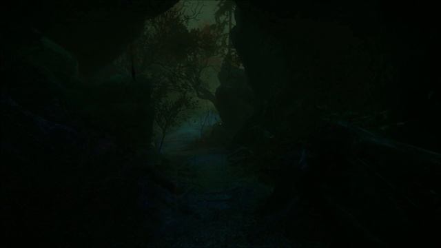 The Cursed Forest - Part 1