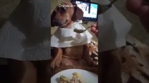 Стасик обедает