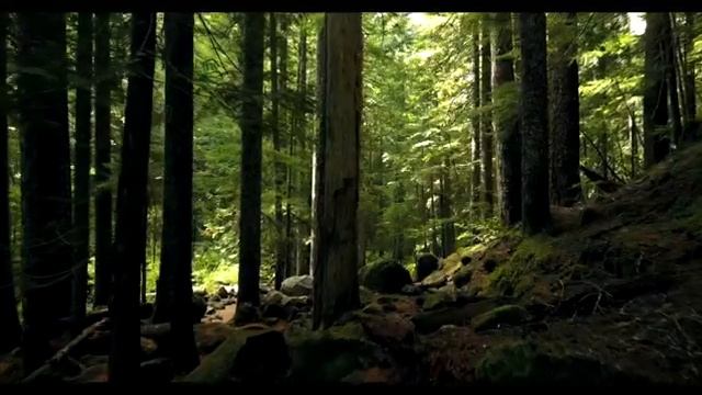 Жанна Астер - Ничего не бойся ( Аnastasia) JEANNE ASTER