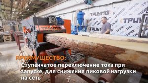 Станок двухвальный Триумф 20П-Авто