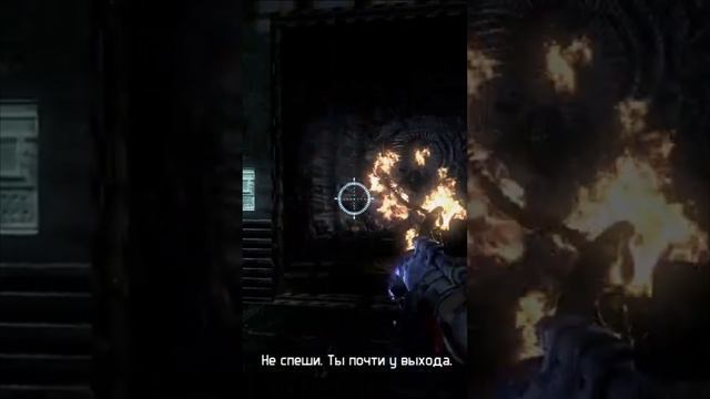 ▶Aliens vs. Predator. Десантник. Ксеноморф хорошо взрывается.