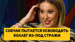 Собчак пытается освободить коллег из-под стражи