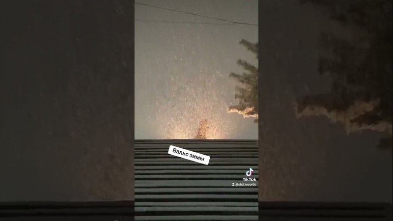 Вальс зимы. #shortvideo #вальсзимы #хит2024