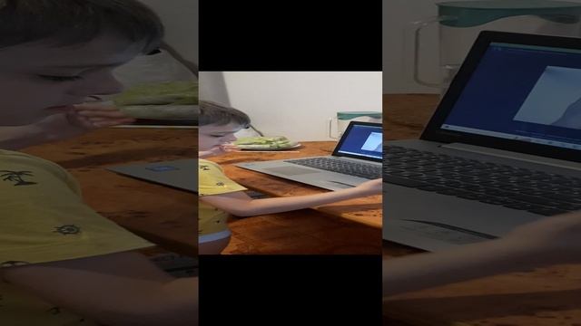 Использование интернет-тренажеров