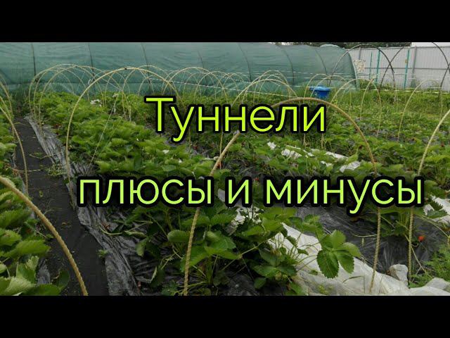 Плюсы и минусы туннелей.