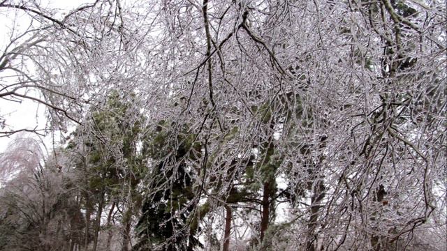 Мой фильм.wlmp   Хрустальное царство !!!