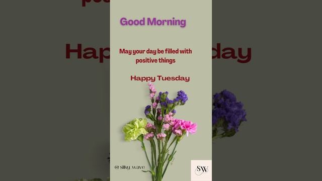 Good Morning GIF | Happy Tuesday | #whatsappstatus #tuesday  #gm @SilkyWave
