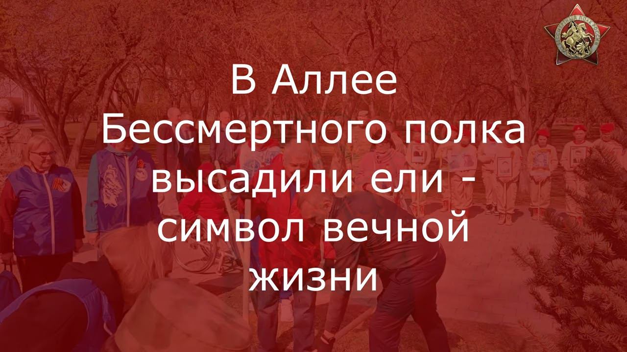 Торжественное открытие Аллеи Бессмертного полка в Тюмени, 03.05.2023г.