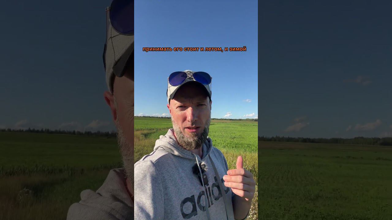 Витамин D летом не нужен? #зож #фитнес #биохакинг #тренировка