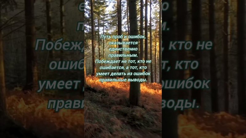 ЭГФ/ИТК Контакт с Тонким Миром. #жизньпослесмерти #душа #эзотерика #тонкиймир #духовноепробуждение