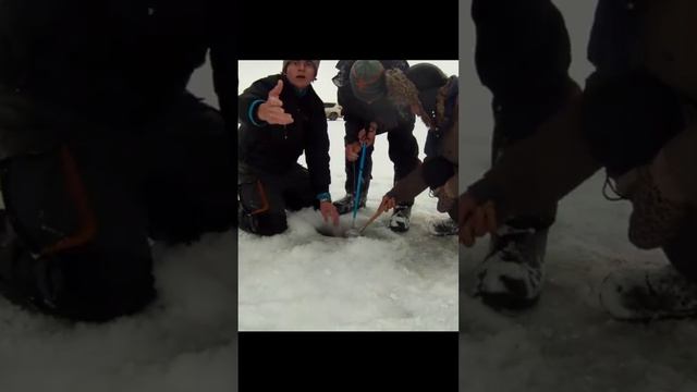 Пацаны ЩУКУ поймали! В лунку не лезет, пятеро помогают..
