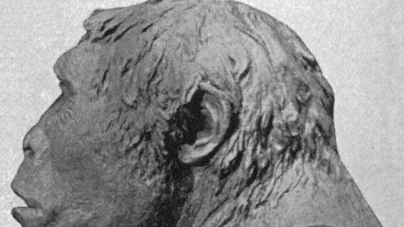 #29 Человечество в эпоху палеолита. Часть 3. Питекантропы