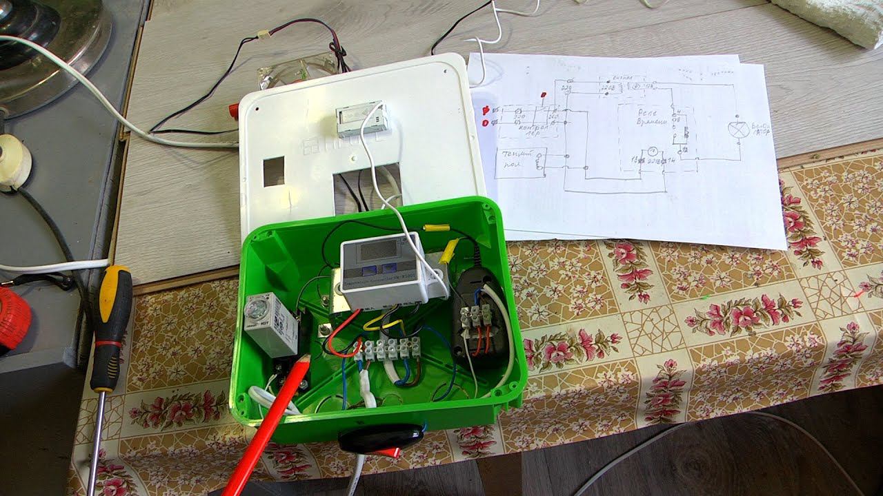 Инкубатор для вывода пчелиных маток. Пчеловодство.