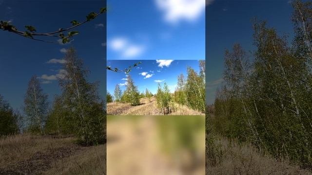 Работает снайпер.