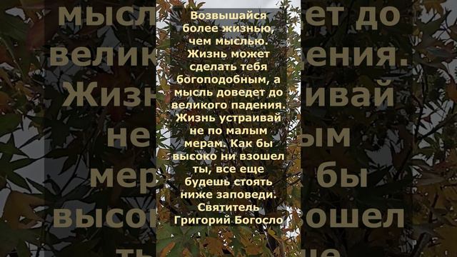 Совершенствование