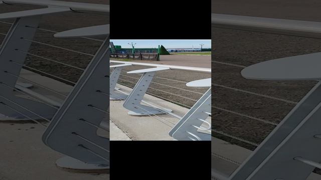 Набережная реки Амур (часть 9)