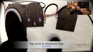 QUANTUMloop Guitar Looper - Looping Pedal w/ Built-in Percussion Stomp-Box Quick Tutorial