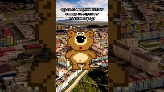 Мишка и дома