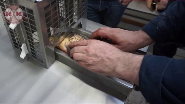 Устройство разделки (для рыбы) ИПКС-136(Н)