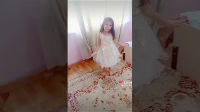 Фокус на видео. — смотреть короткие видео (Shorts) в хорошем качестве и бесплатно на RUTUBE ...