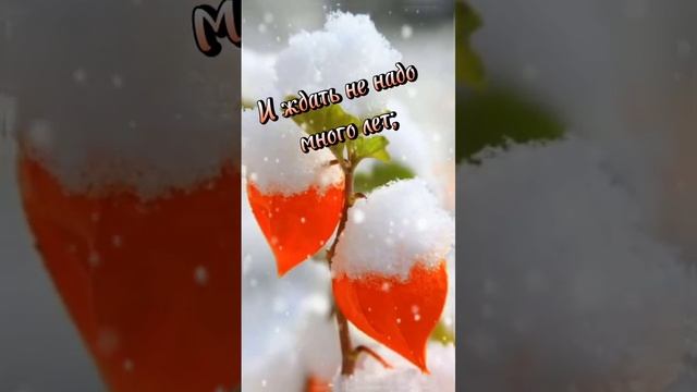 Доброе утро!