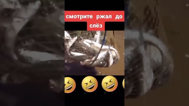 Подборка приколов | СМЕХ ДО СЛЁЗ ? |