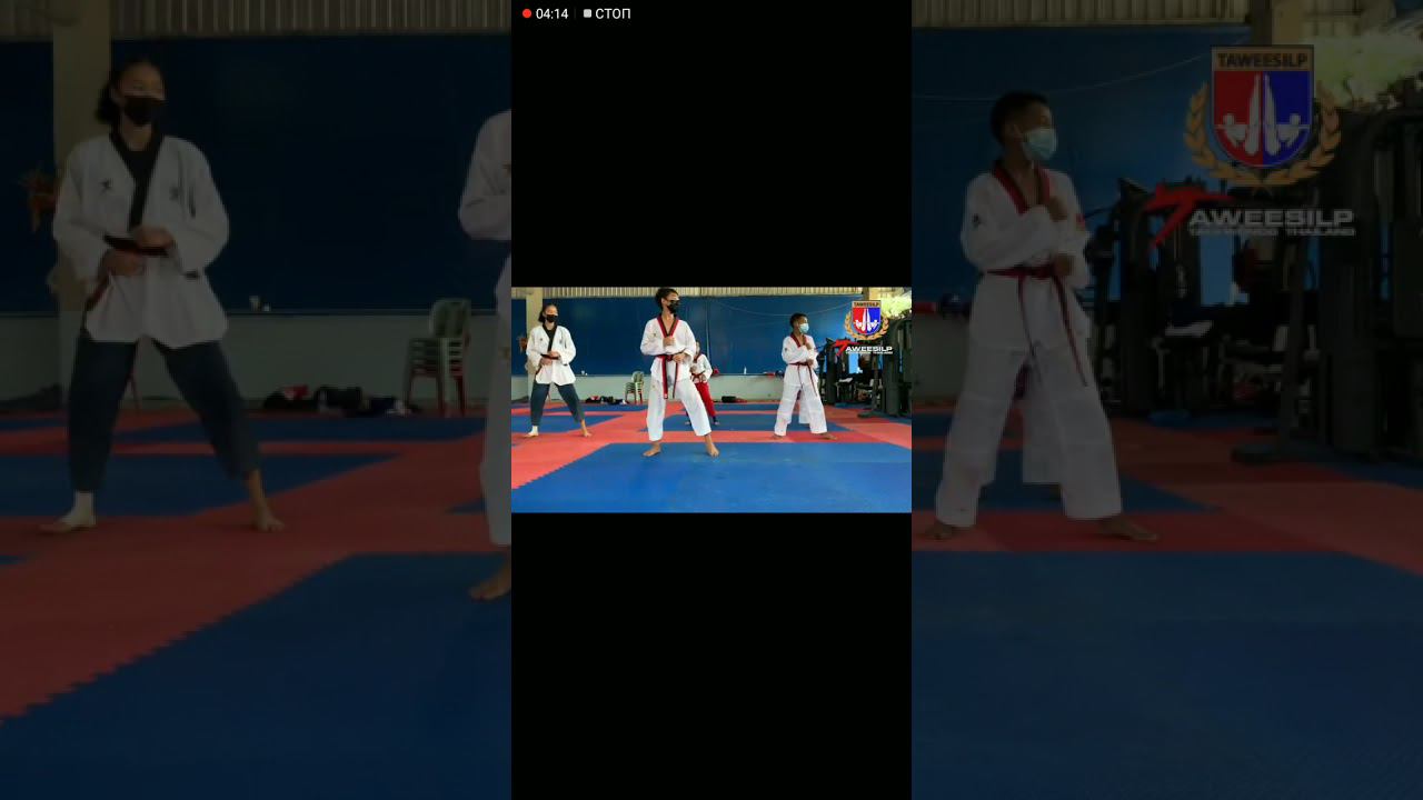 Тайцы лапы