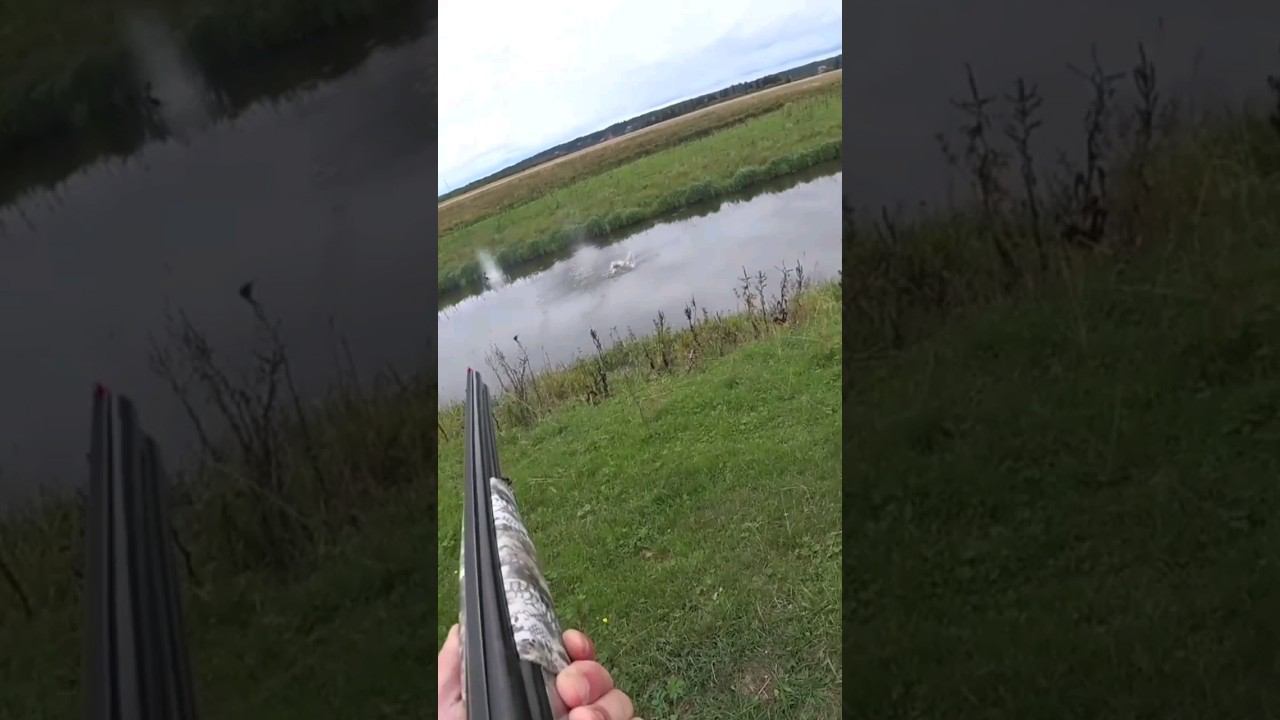 С Охоты На рыбалку на RUTUBE: 157 видео – смотреть онлайн и бесплатно ...