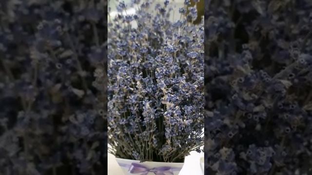 Крымская лаванда