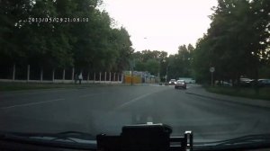 Собаки соблюдают правила дорожного движения