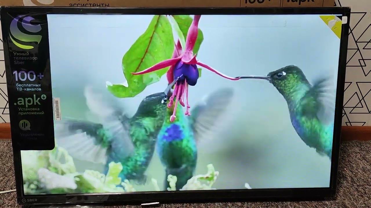 Телевизор LED Sber SDX-32H2010B 32" (80 см).