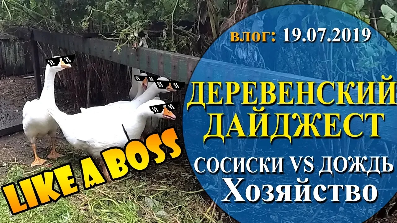 ДЕРЕВЕНСКИЙ ДАЙДЖЕСТ ｜ жарим сосиски ｜ ухаживаем за хозяйством ｜ ОТДЫХАЕМ