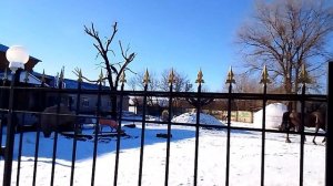 Дикое поле