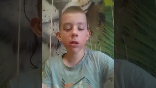 Я ем картошку в томатном соусе