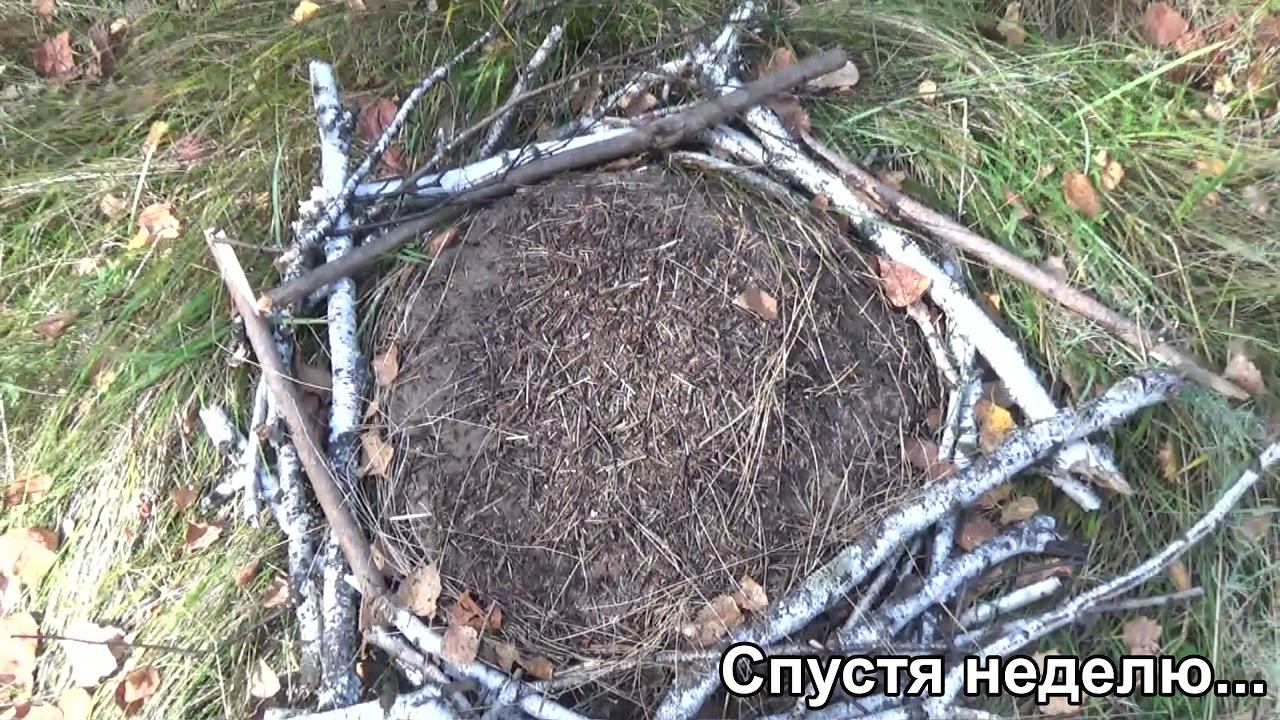 Осенние походы и полёты